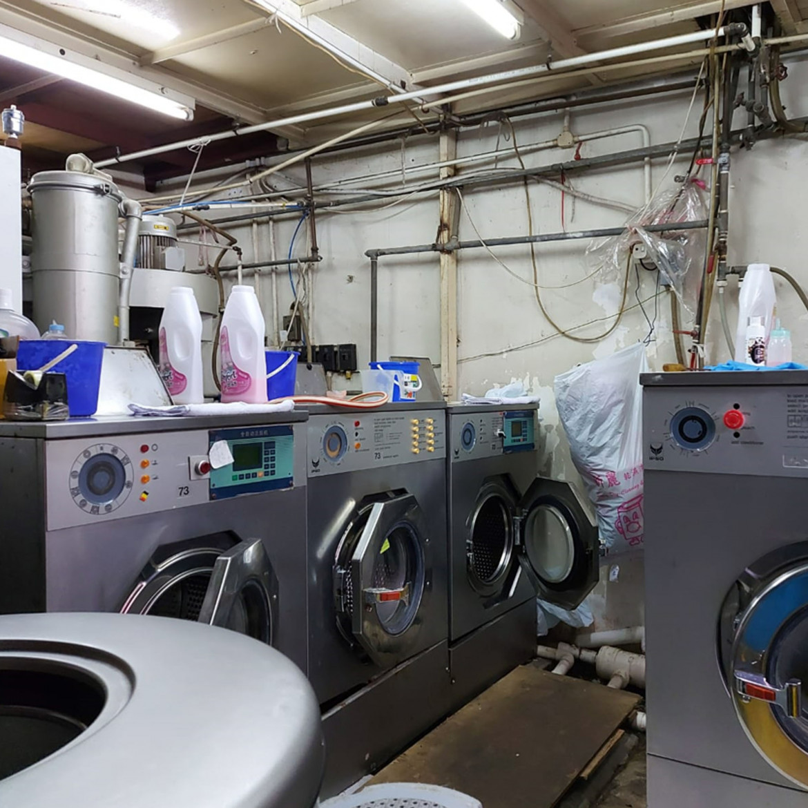 Laundry Concept - 新麗乾洗